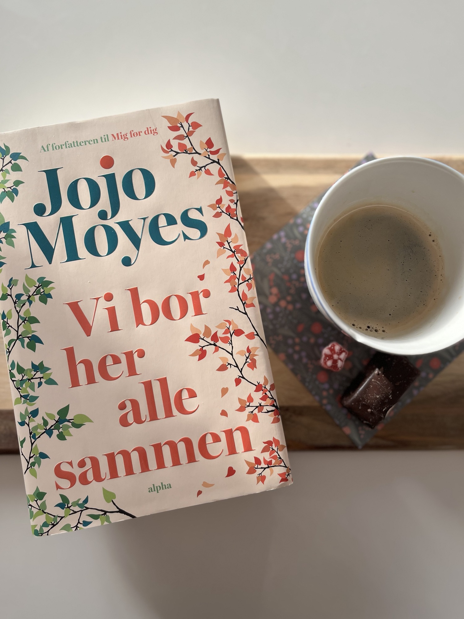 Vi bor her alle sammen af Jojo Moyes – HyggeGeek